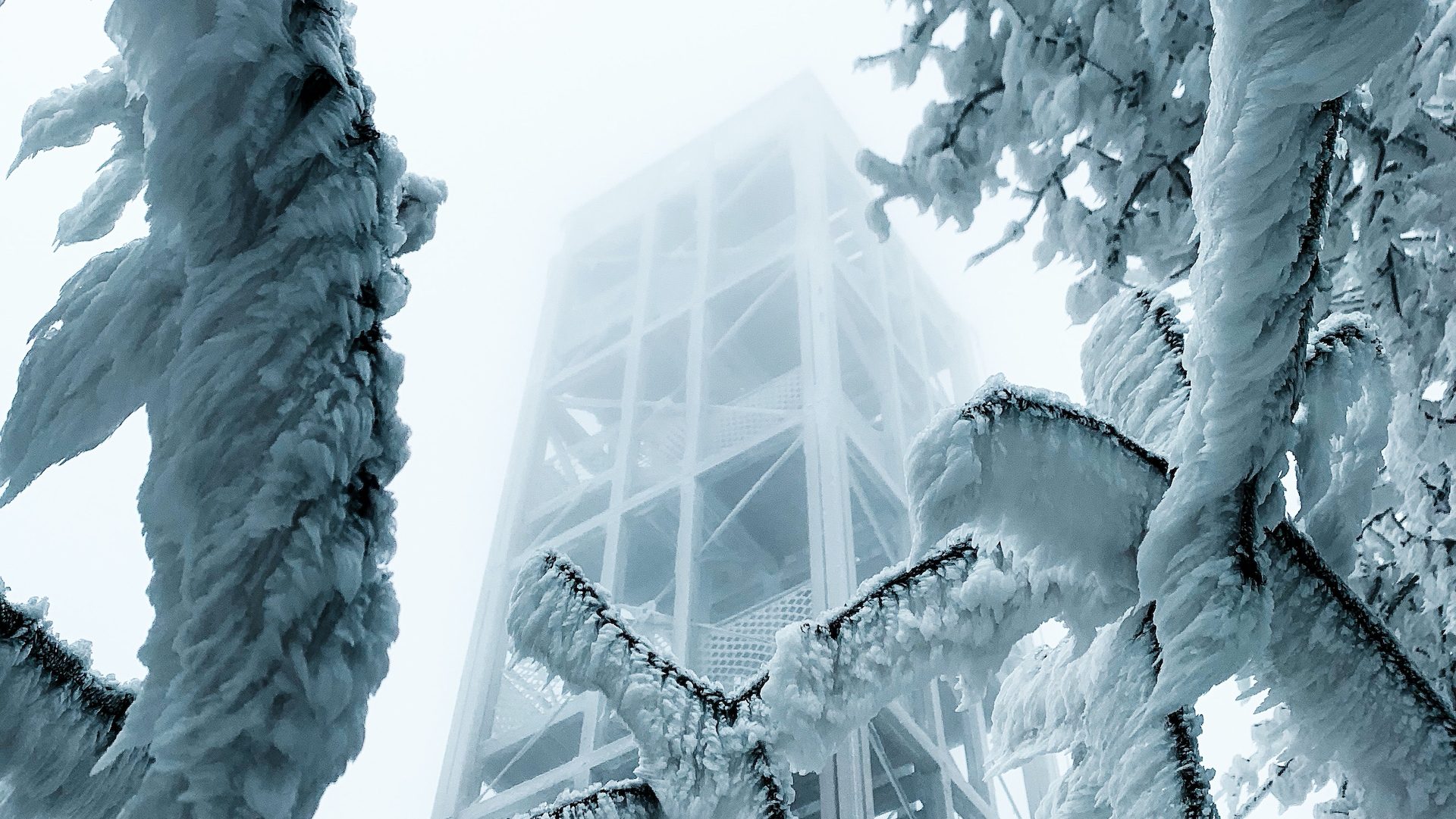 Veľká Homola - VIRTUÁLNÔ